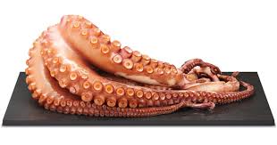 Cooked Octopus Legs 250g | The Fresh Fish Shop UK