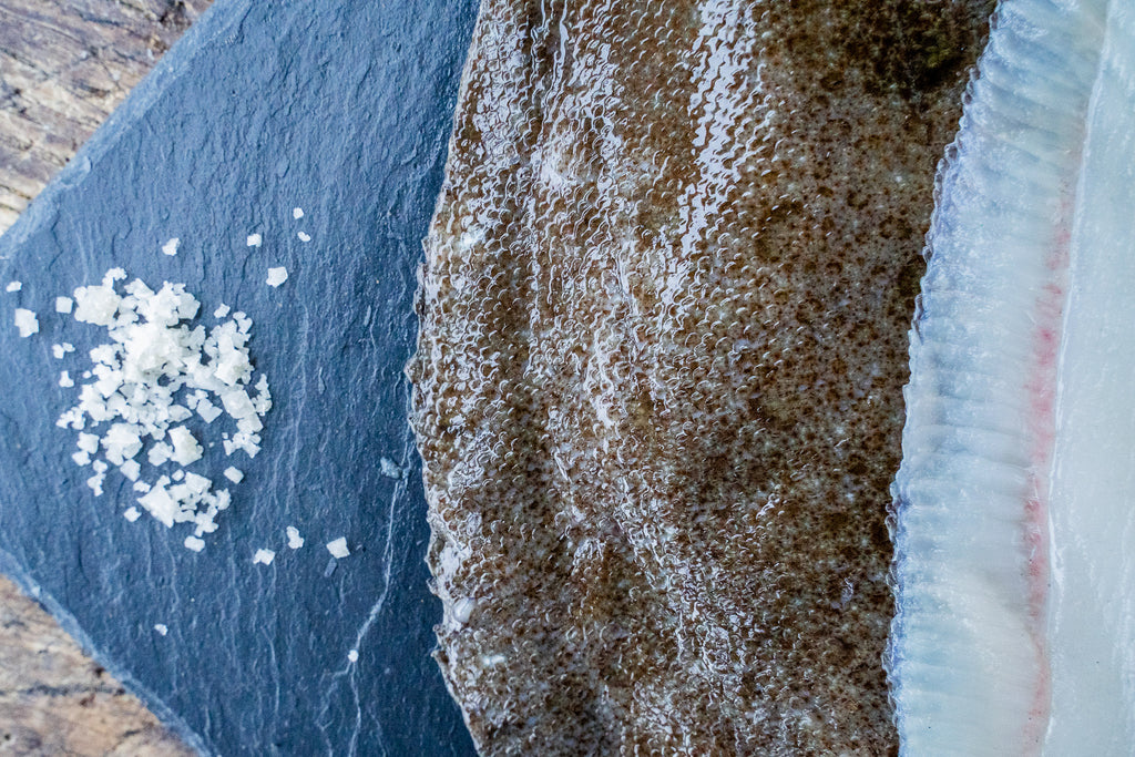 Brill fillets (220g) | The Fresh Fish Shop UK