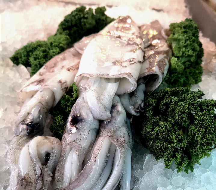 Cleaned Whole Squid (250g) | Serves 2 | The Fresh Fish Shop UK